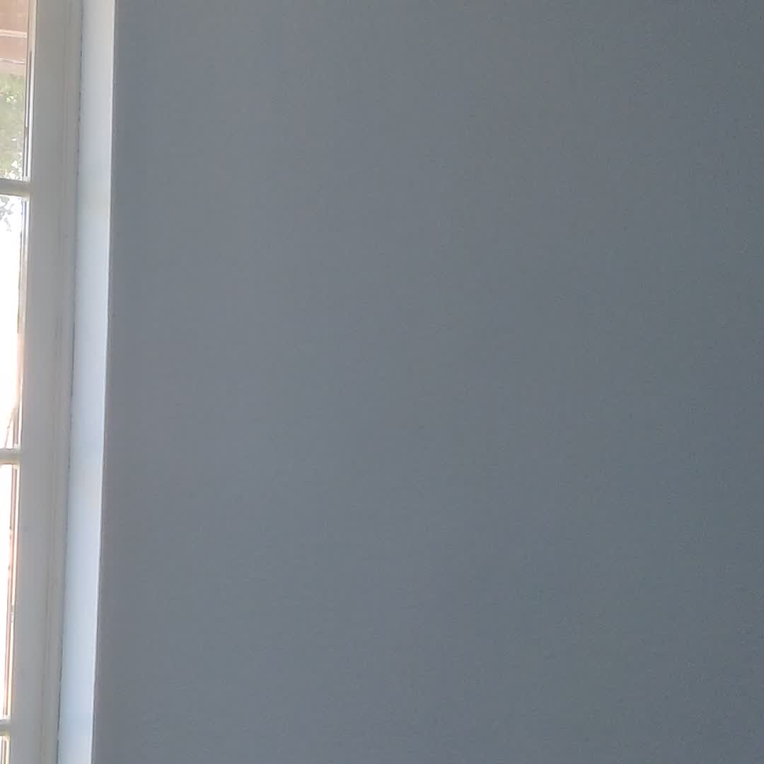 Frozen | Cool Light Blue Paint Color | Clare