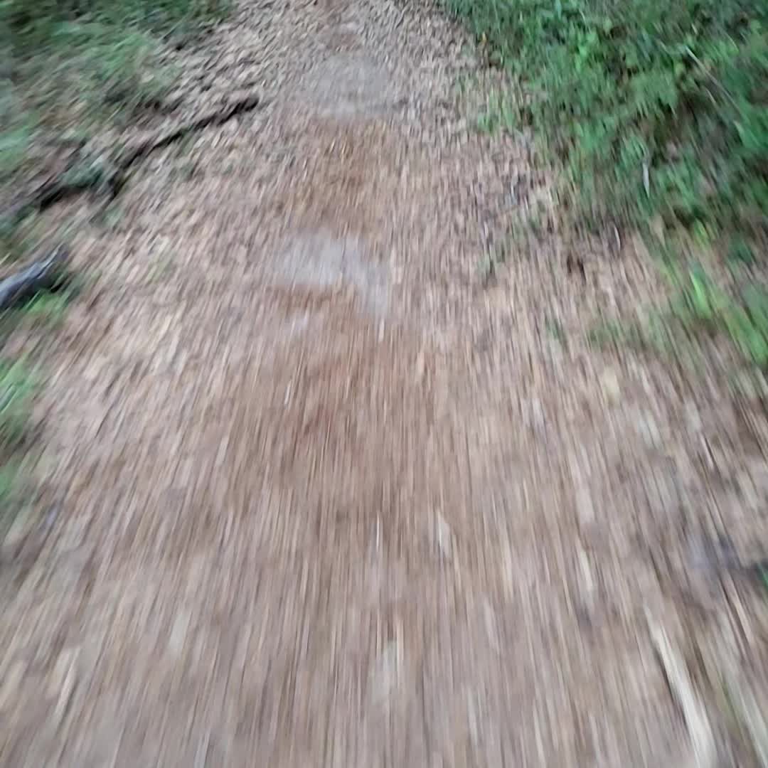 Shop GTR Bamboo All Terrain at Evolve Skateboards US