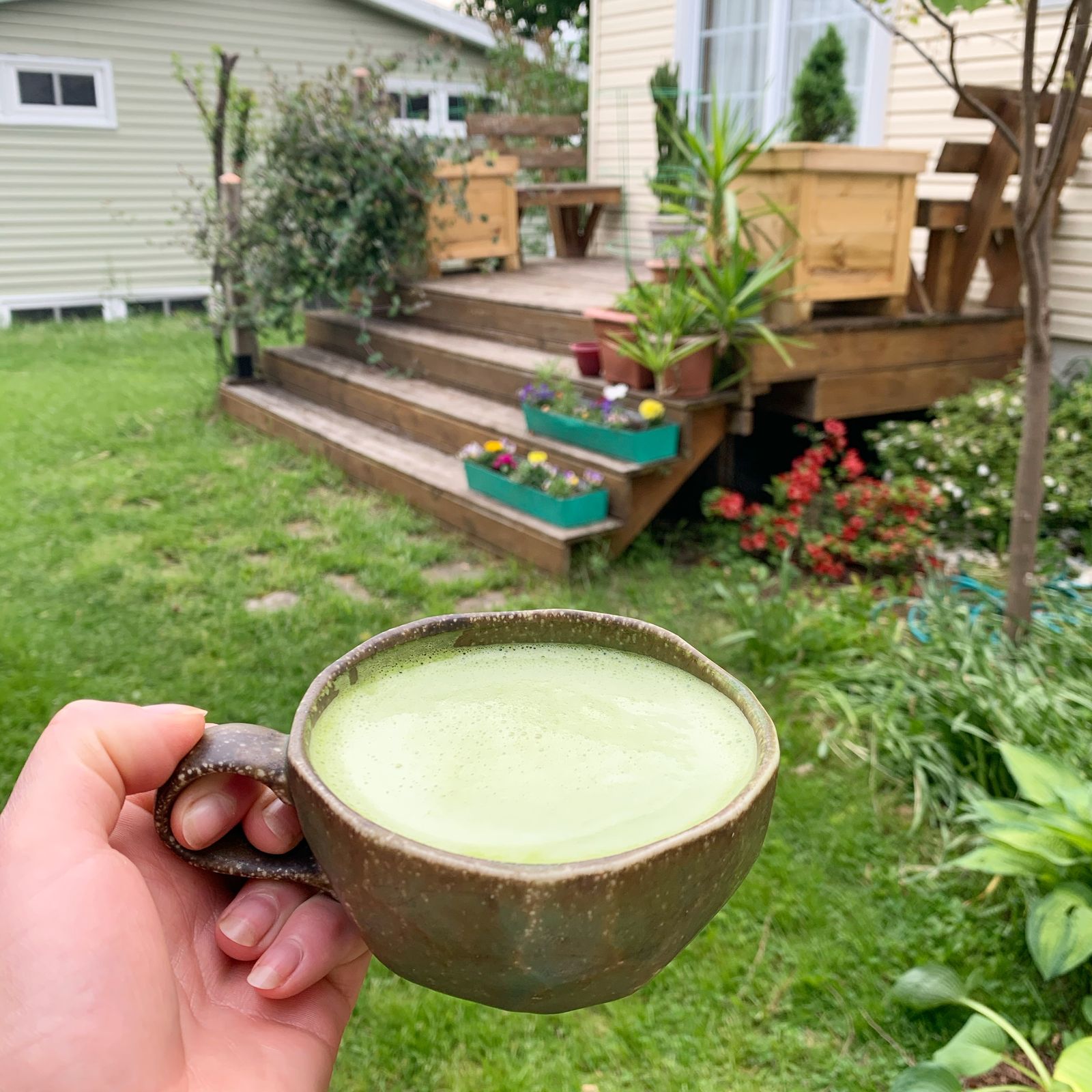 Organic Matcha Green Tea Powder - Tenzo