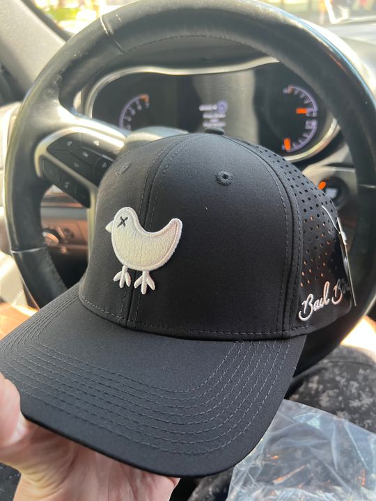 Birdie Snapback - Black – Bad Birdie