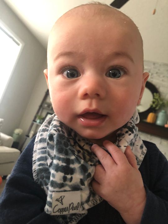 Baby Bandana Bibs - Bison – Copper Pearl