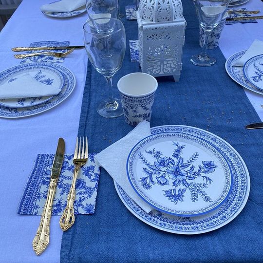 French Toile Plates - 10ct - Party Decor - Coterie