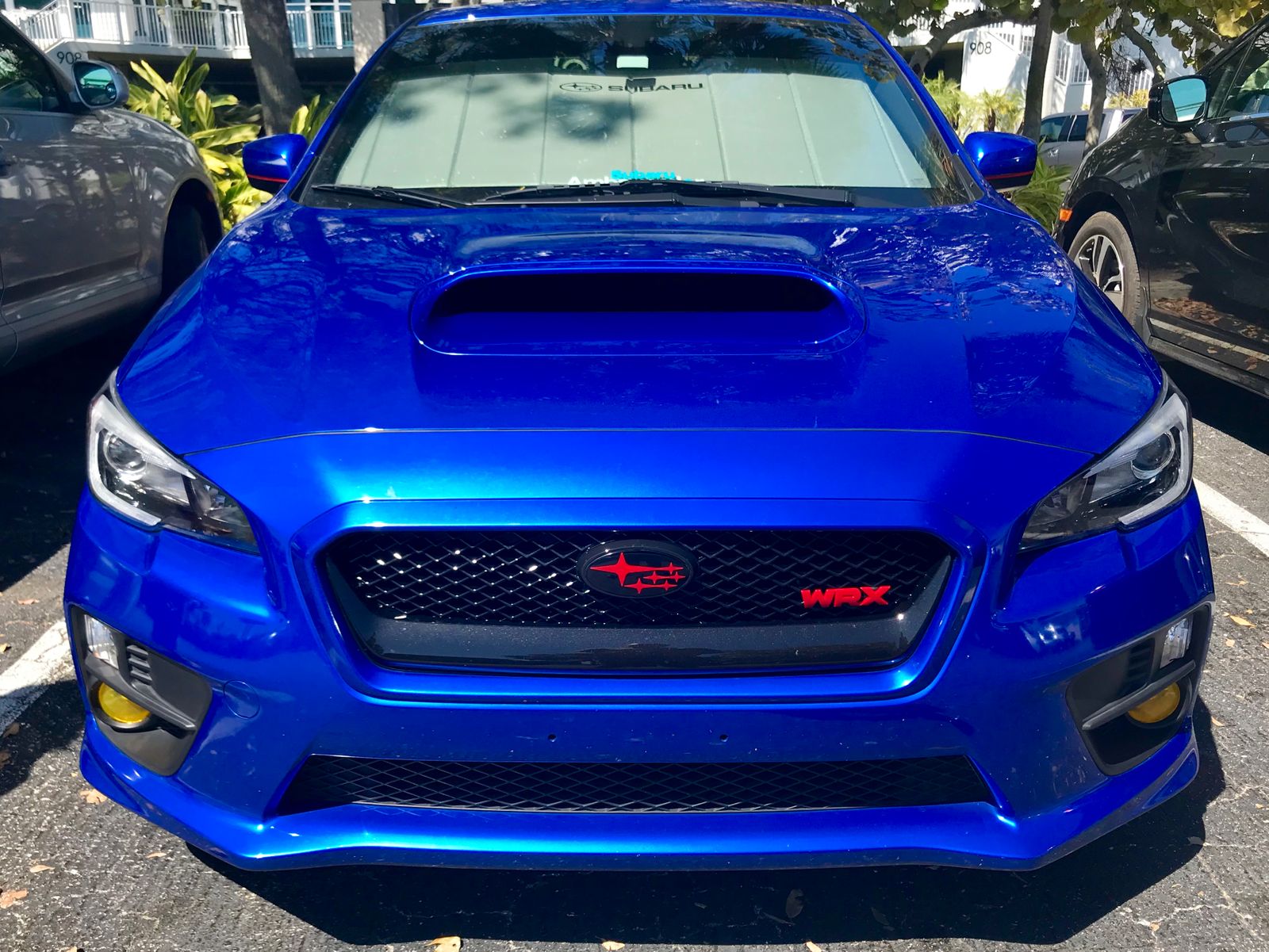 Subaru OEM OEM STI JDM Front Grill Subaru WRX / STI 2015-2017 | 91121V ...