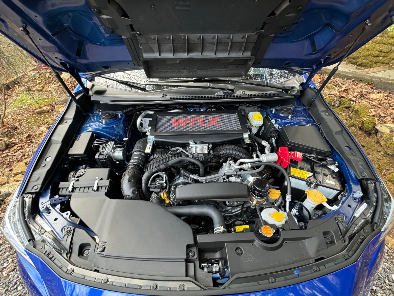 Noble 22-23 Subaru WRX Black Top Mount OE Intercooler Guard with Red ...