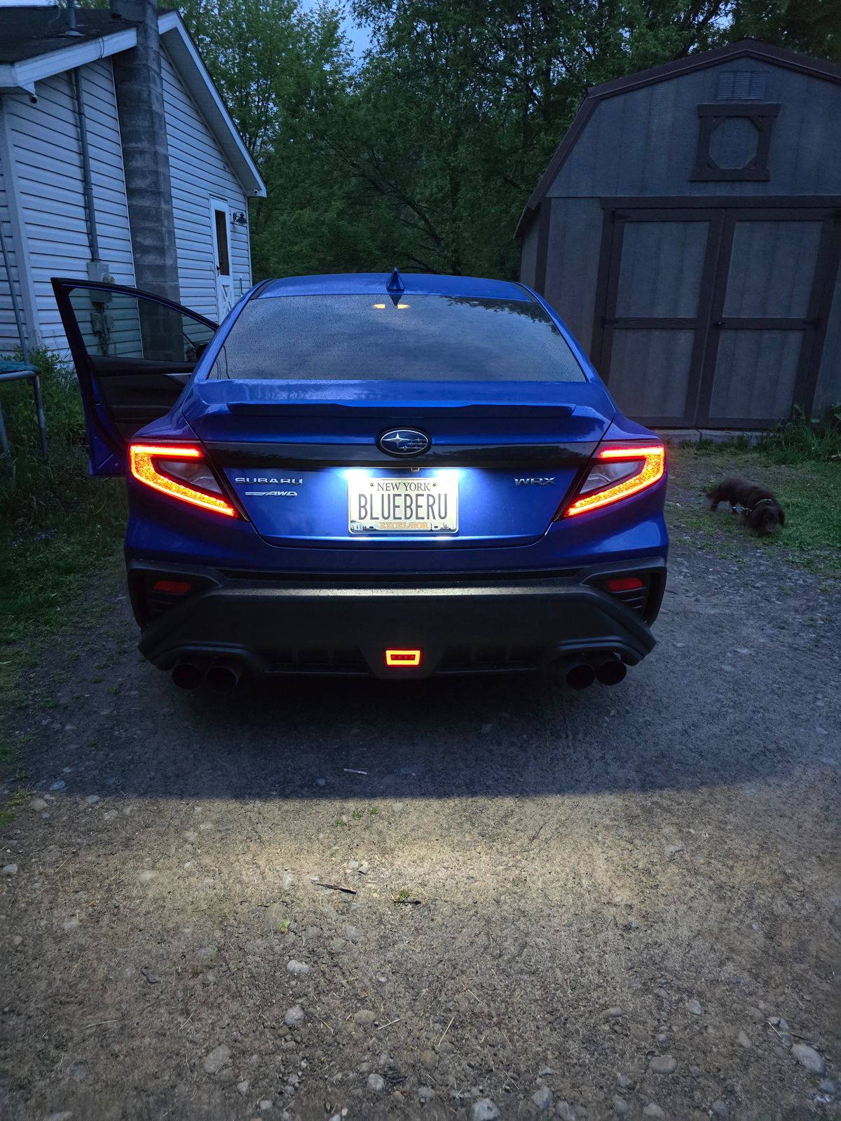 Noble PRO F1 JDM Rear Fog Light Kit Subaru WRX 2022-2024 – Import Image ...