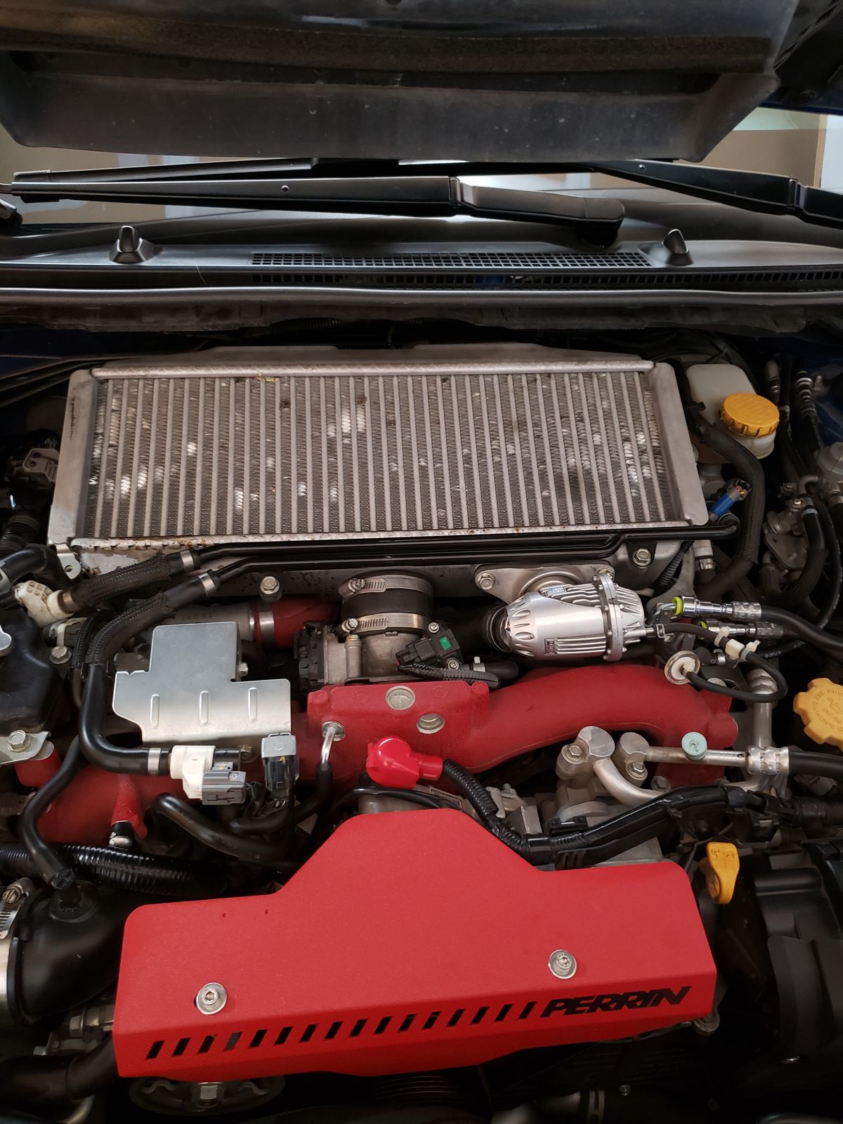 Noble STI Top Mount Intercooler Grille Protector / Guard - 2008-2021 ...