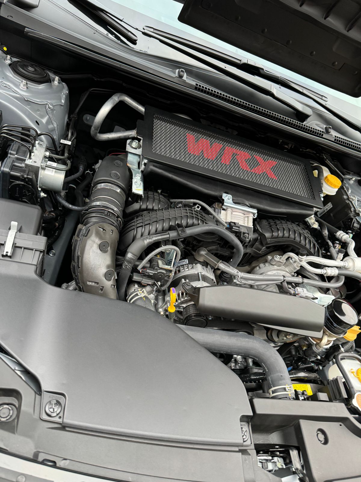 Noble 22-23 Subaru WRX Black Top Mount OE Intercooler Guard with Red ...