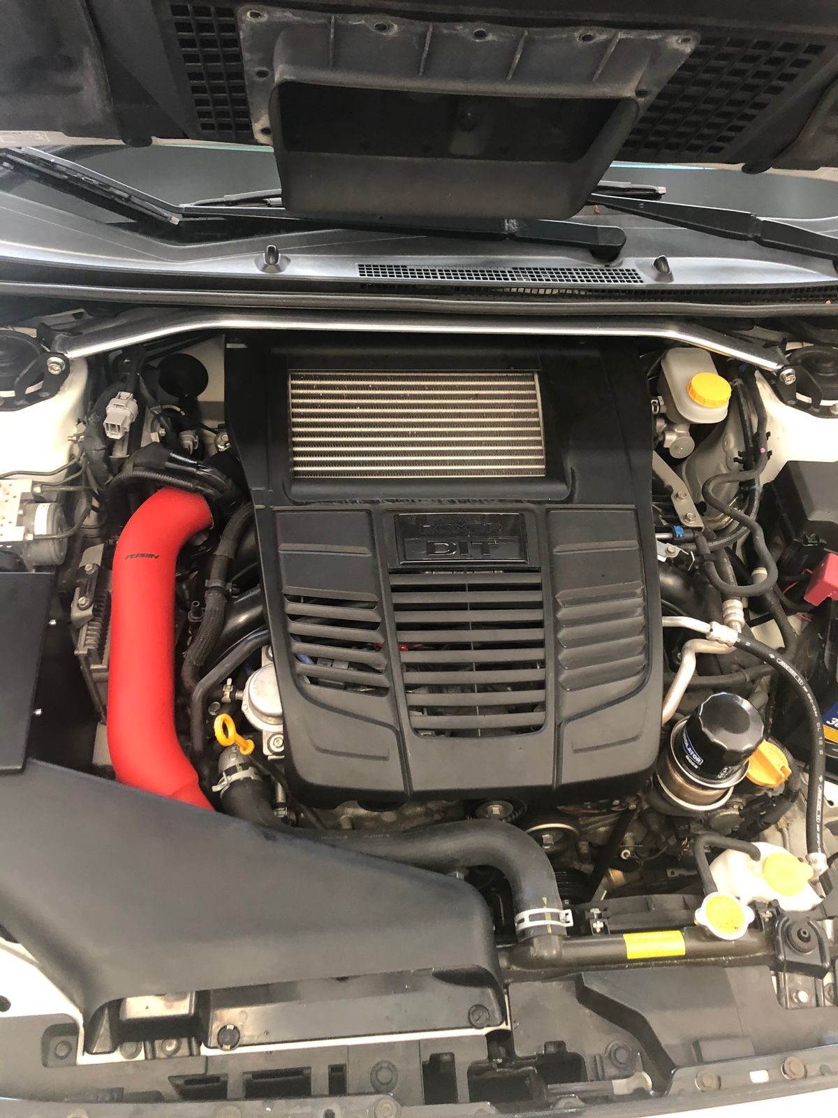 Subaru 15208AA170 FA20DIT Oil Filter 15-22 Subaru WRX / 22-23 BRZ ...