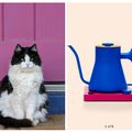Great Jones x Fellow EKG Pro Kettle