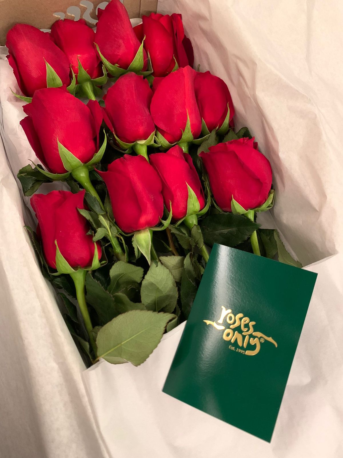12 Red Roses Gift Box | Roses Only Singapore