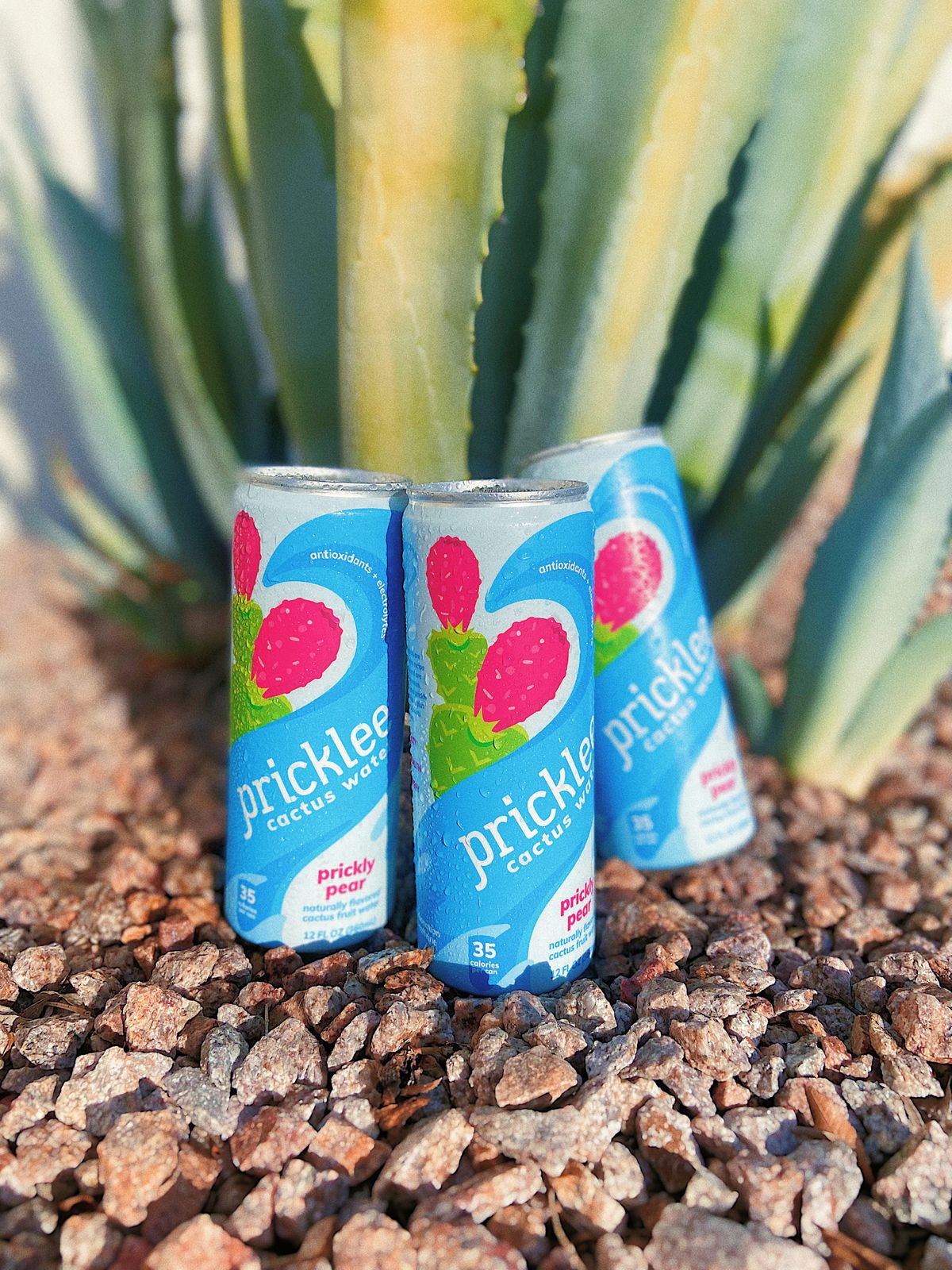 Variety Pack | 12 Pack | Cactus Water – 🌵 Pricklee Cactus Water 🌵
