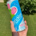 Variety Pack | 12 Pack | Cactus Superfruit Water – 🌵 Pricklee Cactus ...