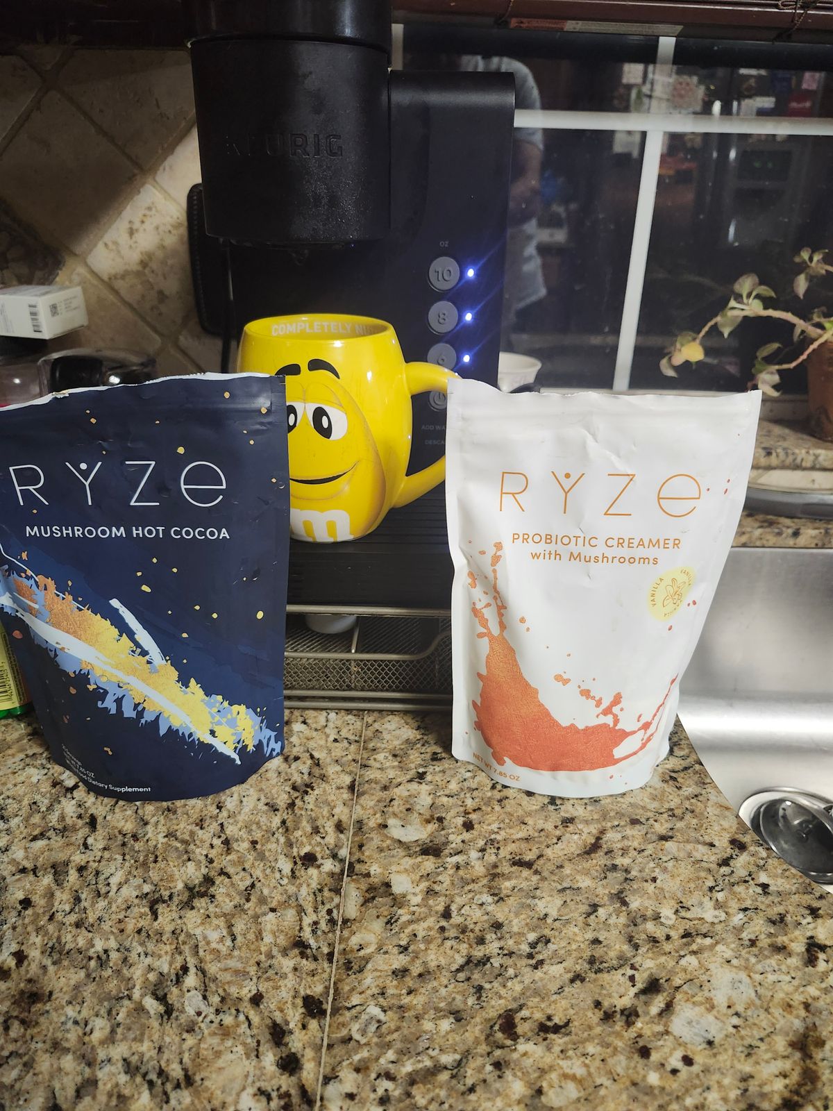 Mushroom Hot Cocoa – RYZE