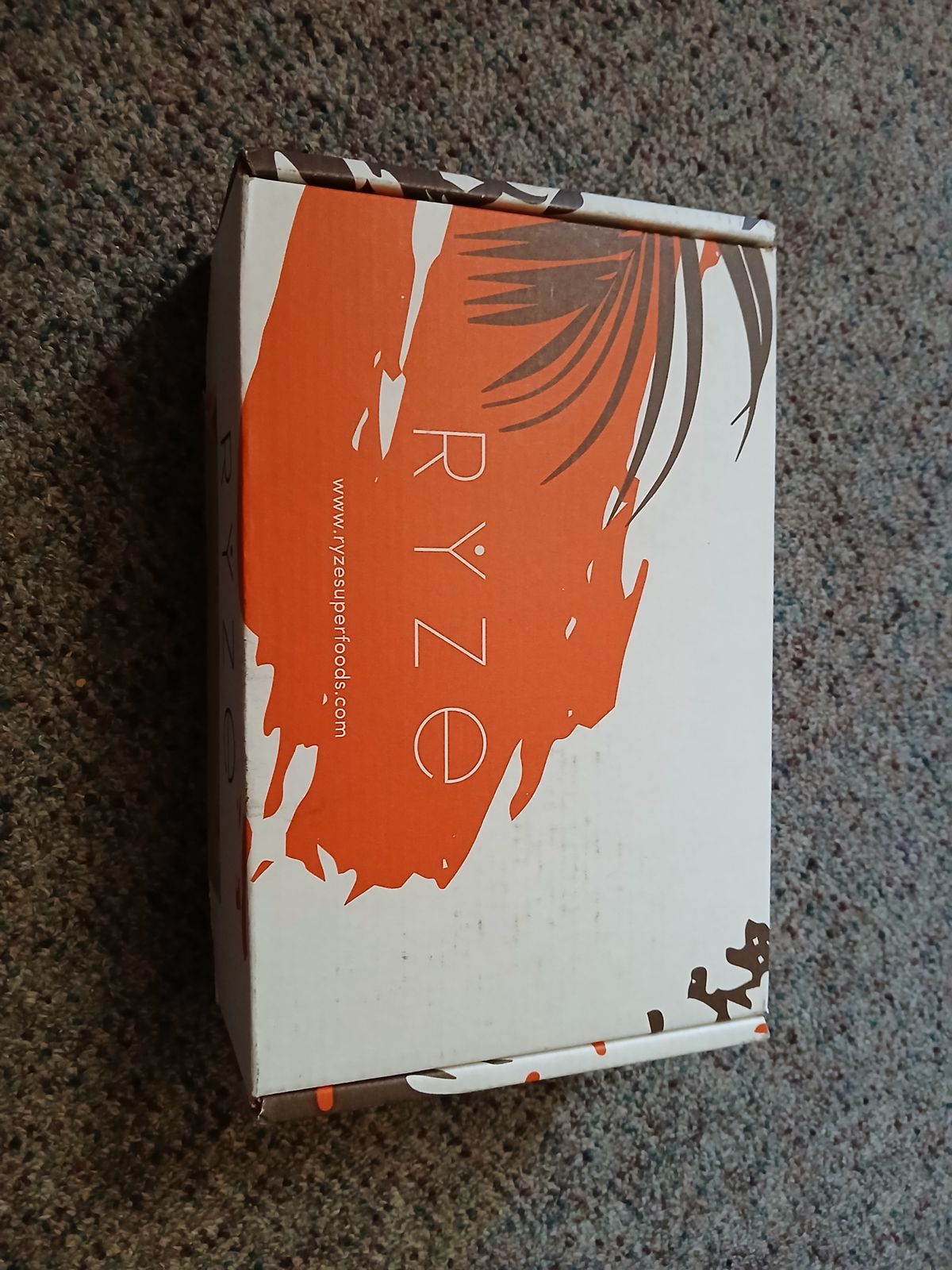 Mushroom Coffee (30 Servings) – RYZE