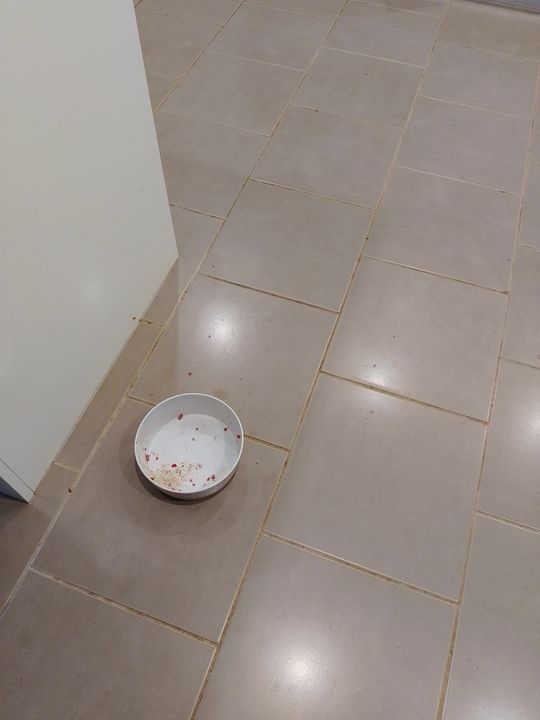 Buy Chicken Essentials Raw Dog Food - Home Delivered