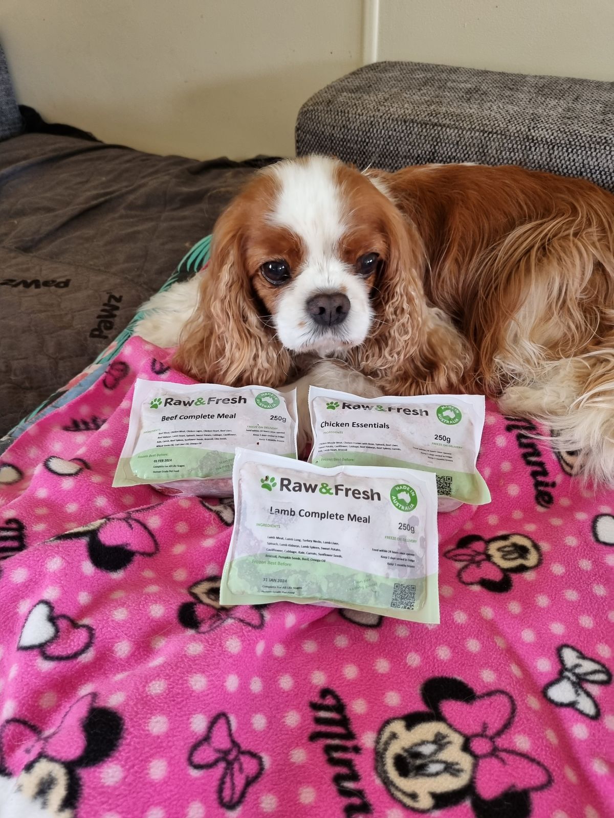 Buy Chicken Essentials Raw Dog Food - Home Delivered