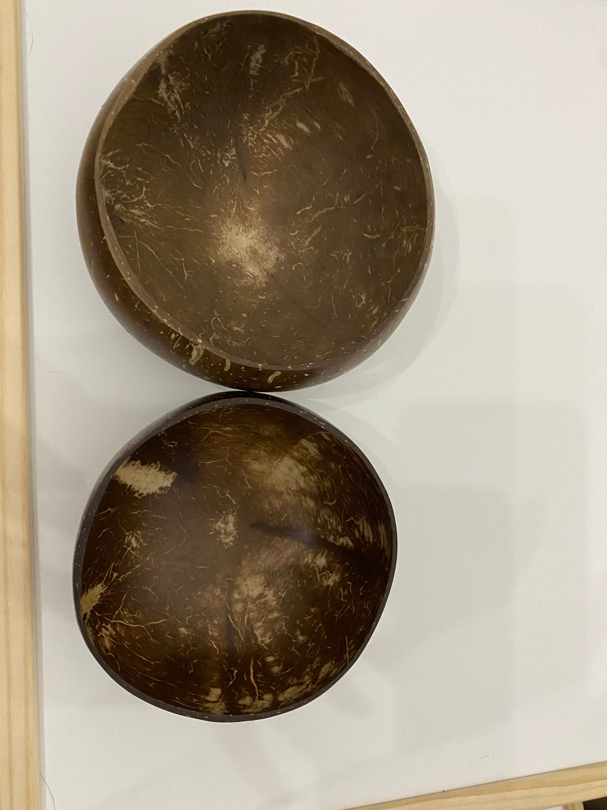 Jumbo Coconut Bowl - Coconut Bowls | North America