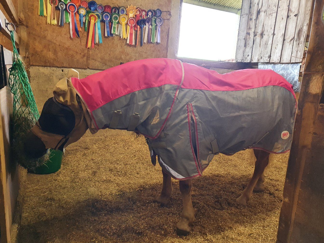 Fly Turnout Combination Rug - Pink | Swish Equestrian