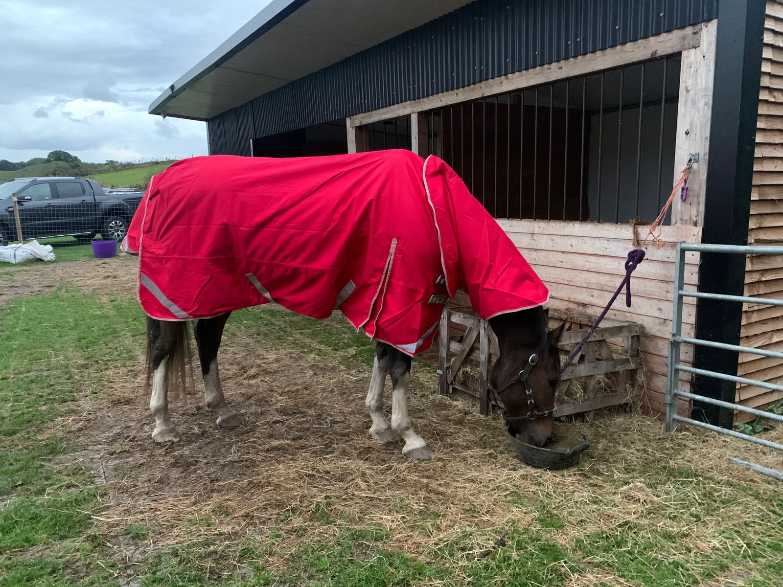 100g Detachable Neck Turnout Rug - Red | Swish Equestrian