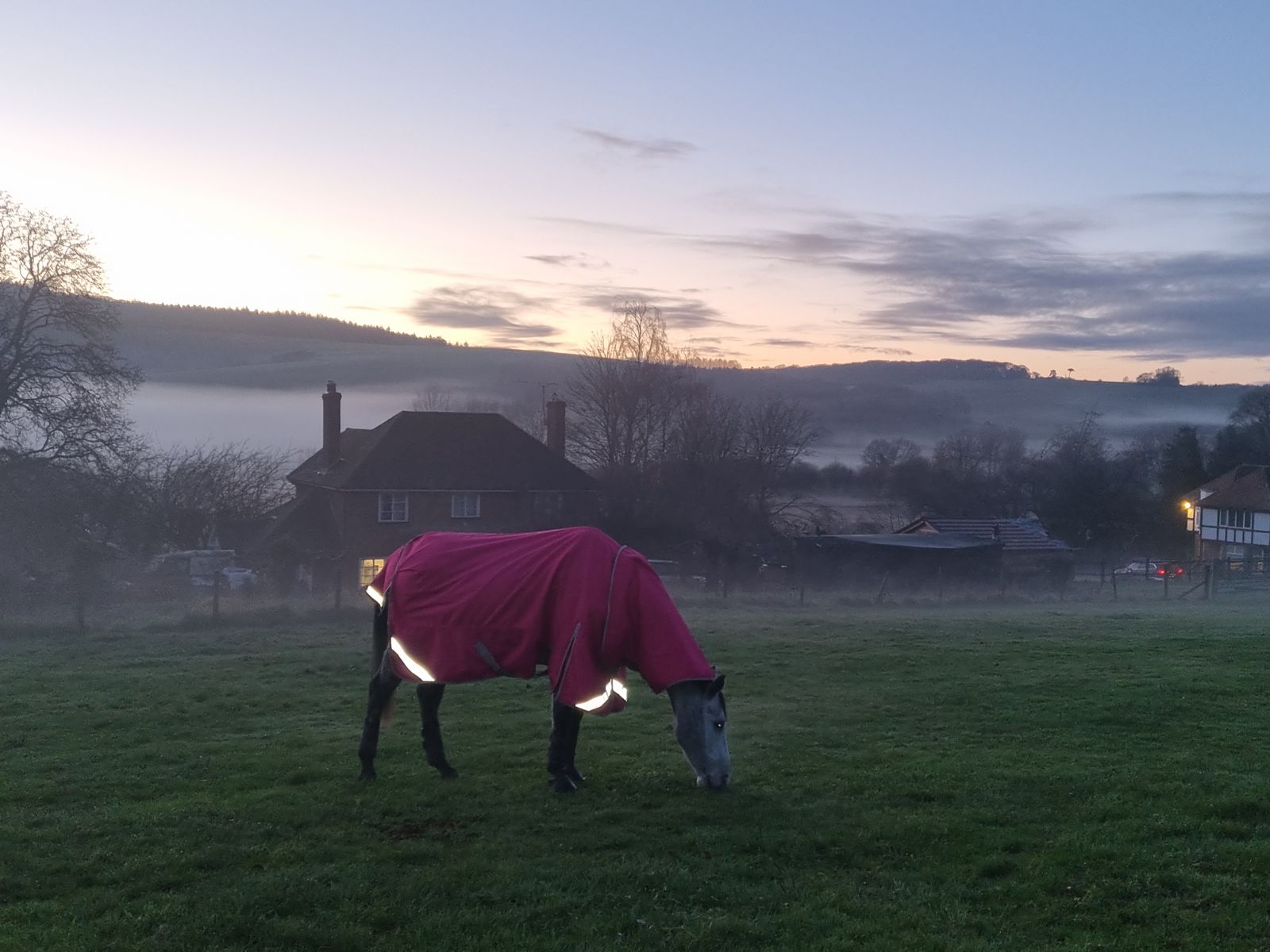100g Detachable Neck Turnout Rug - Pink | Swish Equestrian