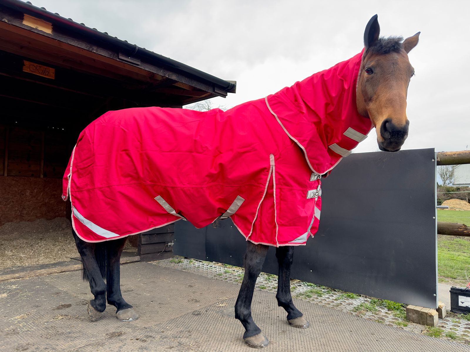 100g Detachable Neck Turnout Rug - Red | Swish Equestrian