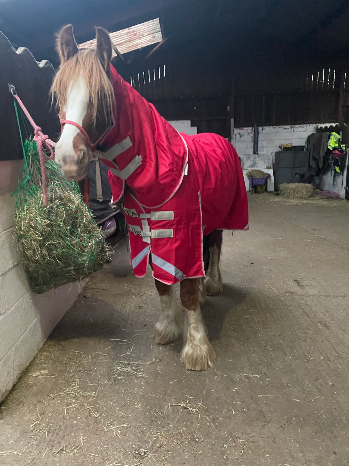 100g Detachable Neck Turnout Rug - Red | Swish Equestrian