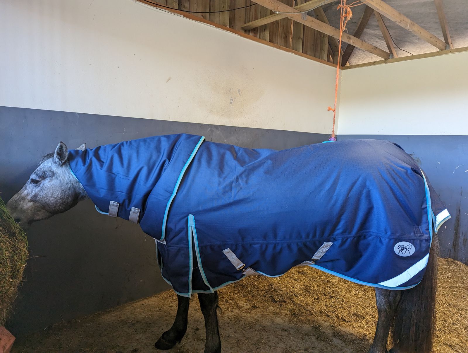100g Detachable Neck Turnout Rug - Navy | Swish Equestrian