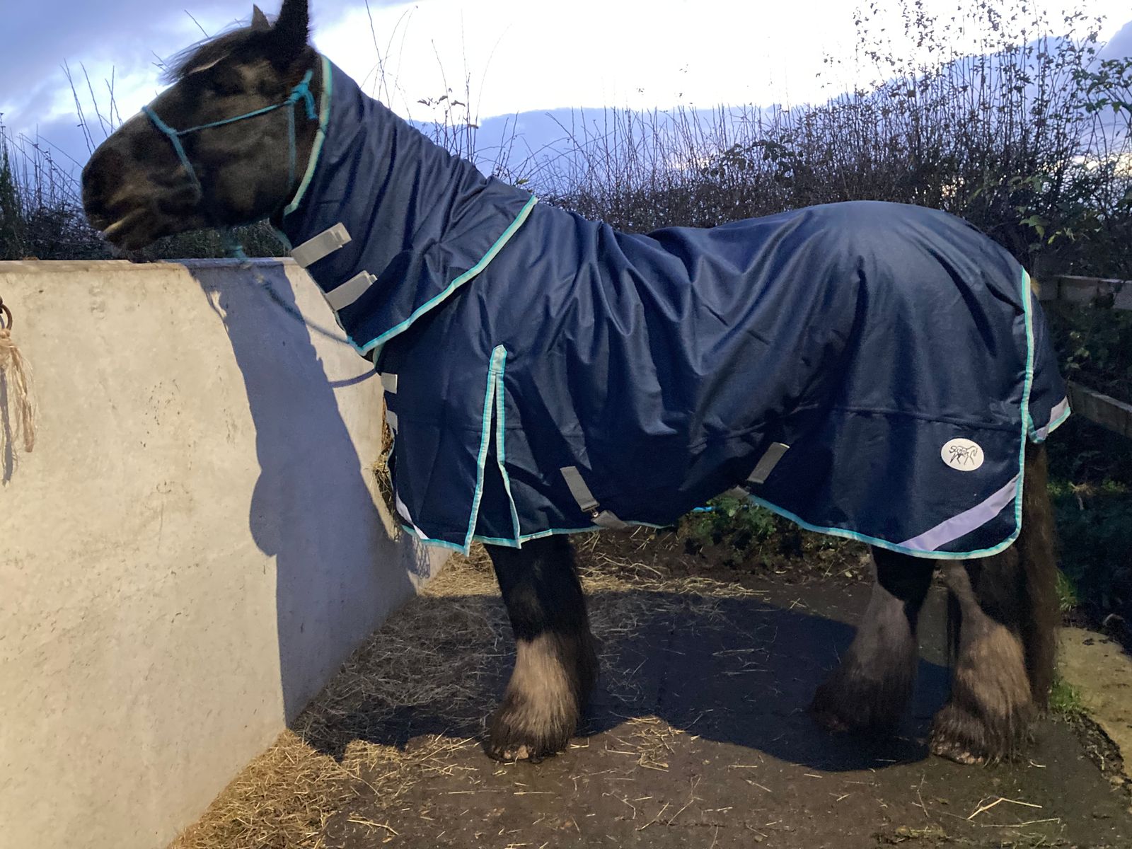 50g Detachable Neck Turnout Rug - Navy | Swish Equestrian