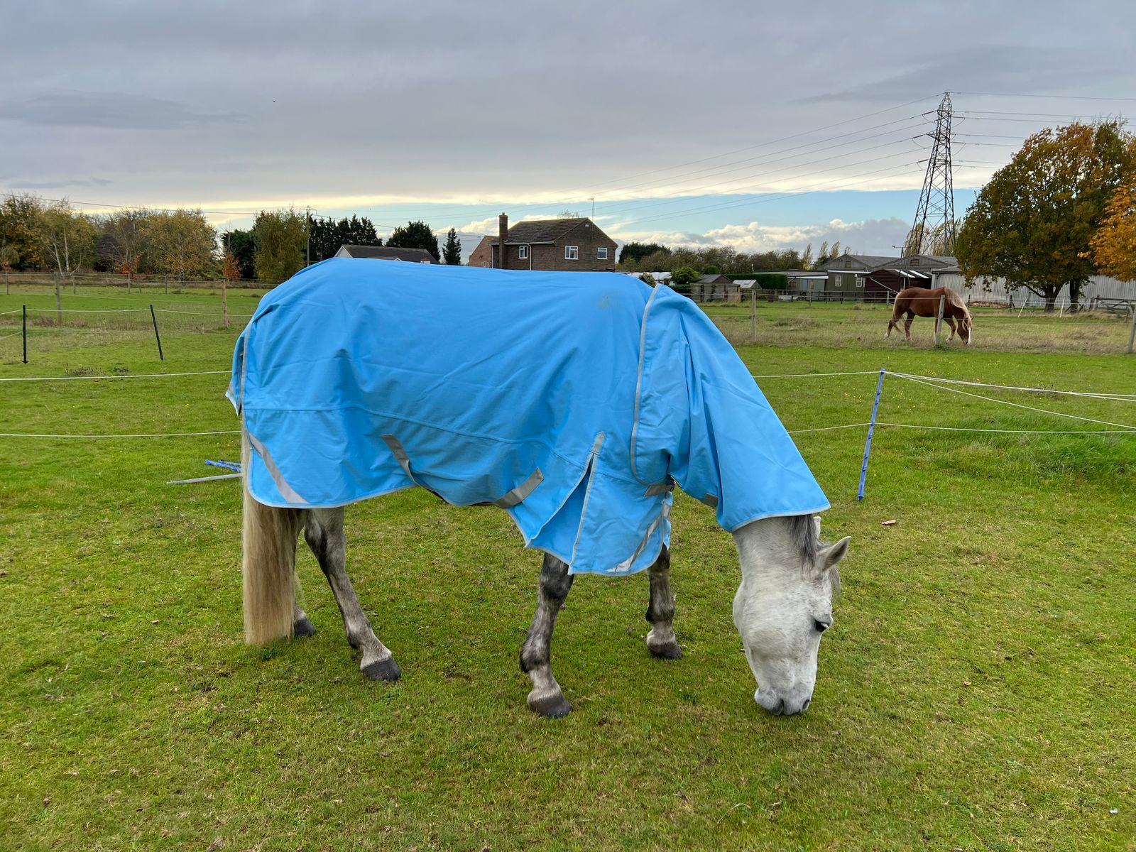 50g Detachable Neck Turnout Rug - Navy | Swish Equestrian