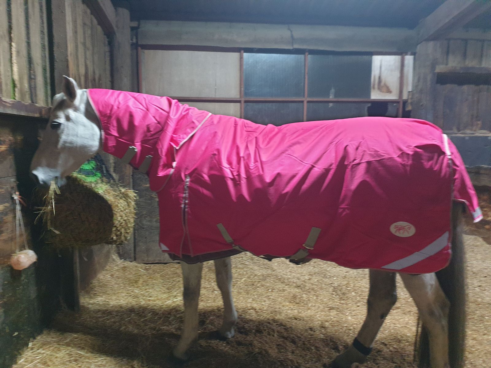100g Detachable Neck Turnout Rug - Pink | Swish Equestrian