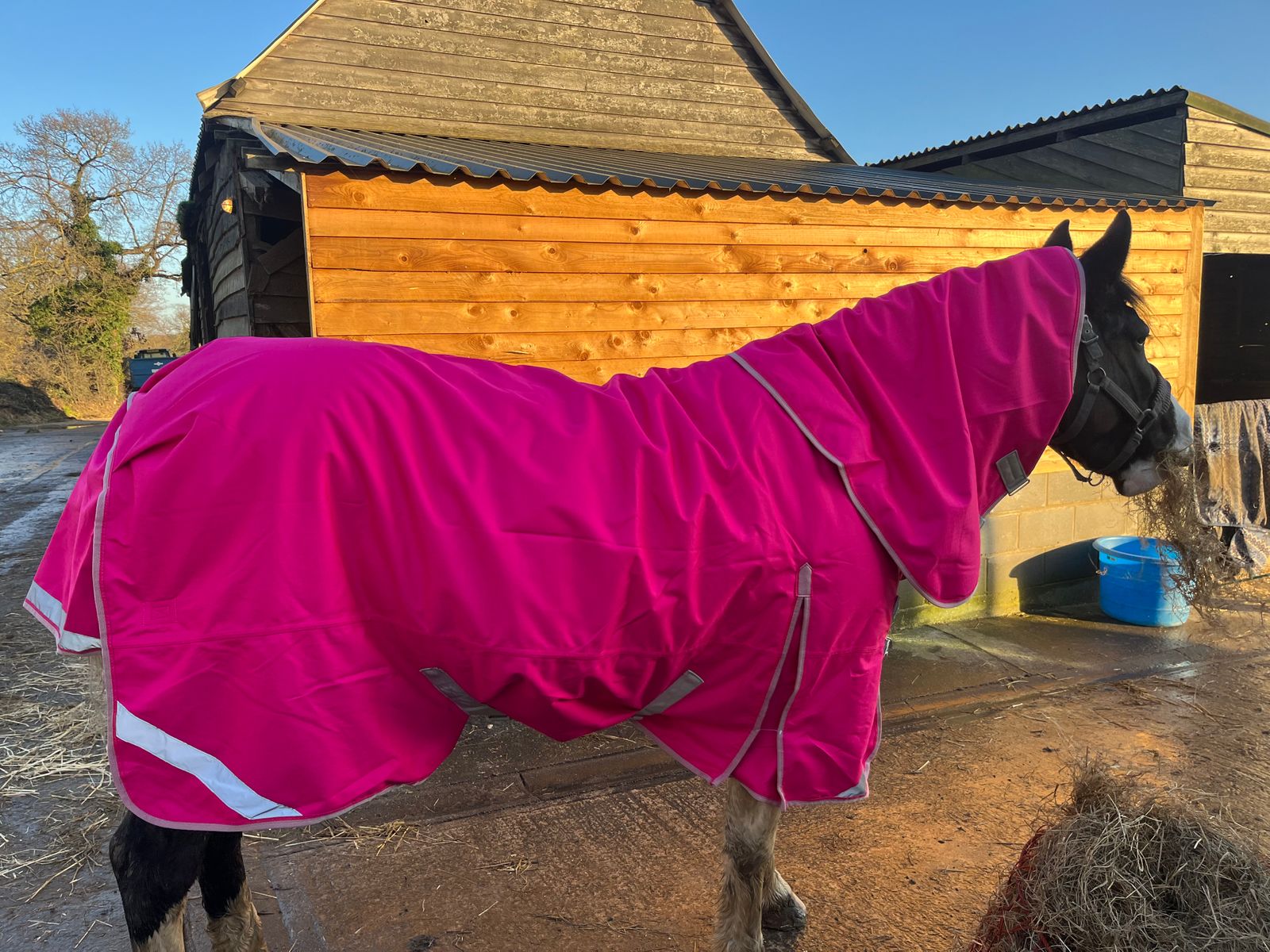 100g Detachable Neck Turnout Rug - Pink | Swish Equestrian