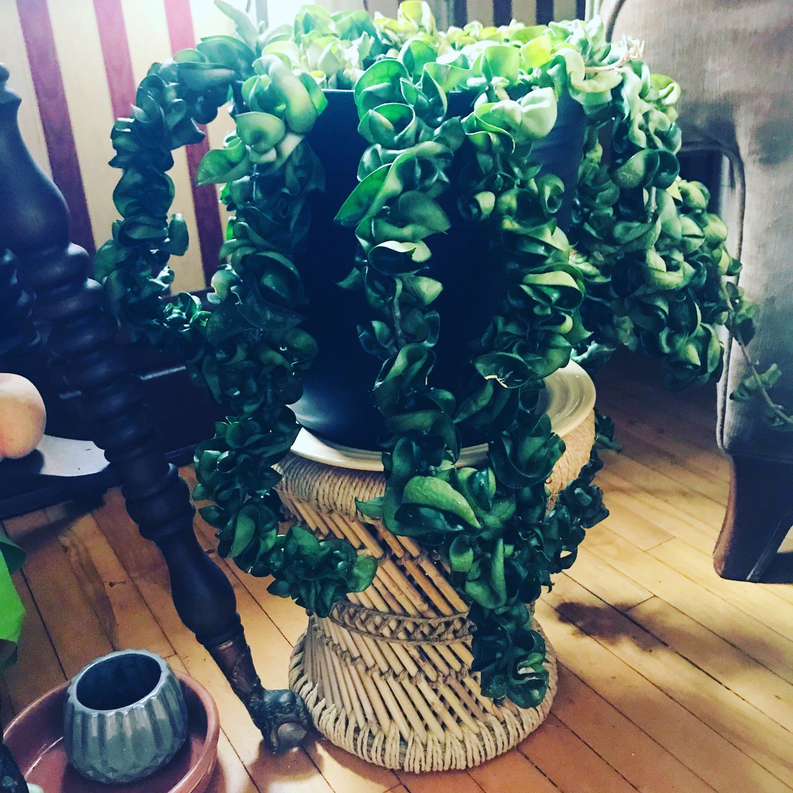 Sarkanda Rattan Stool – GlobeIn