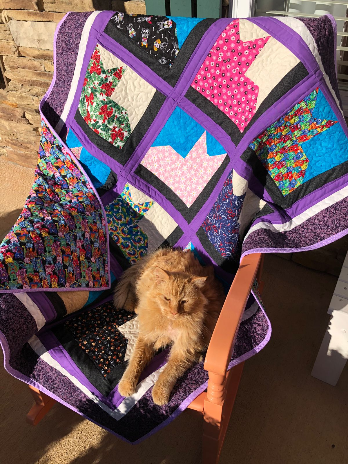 Cats in the Window Quilt Pattern by Missouri Star