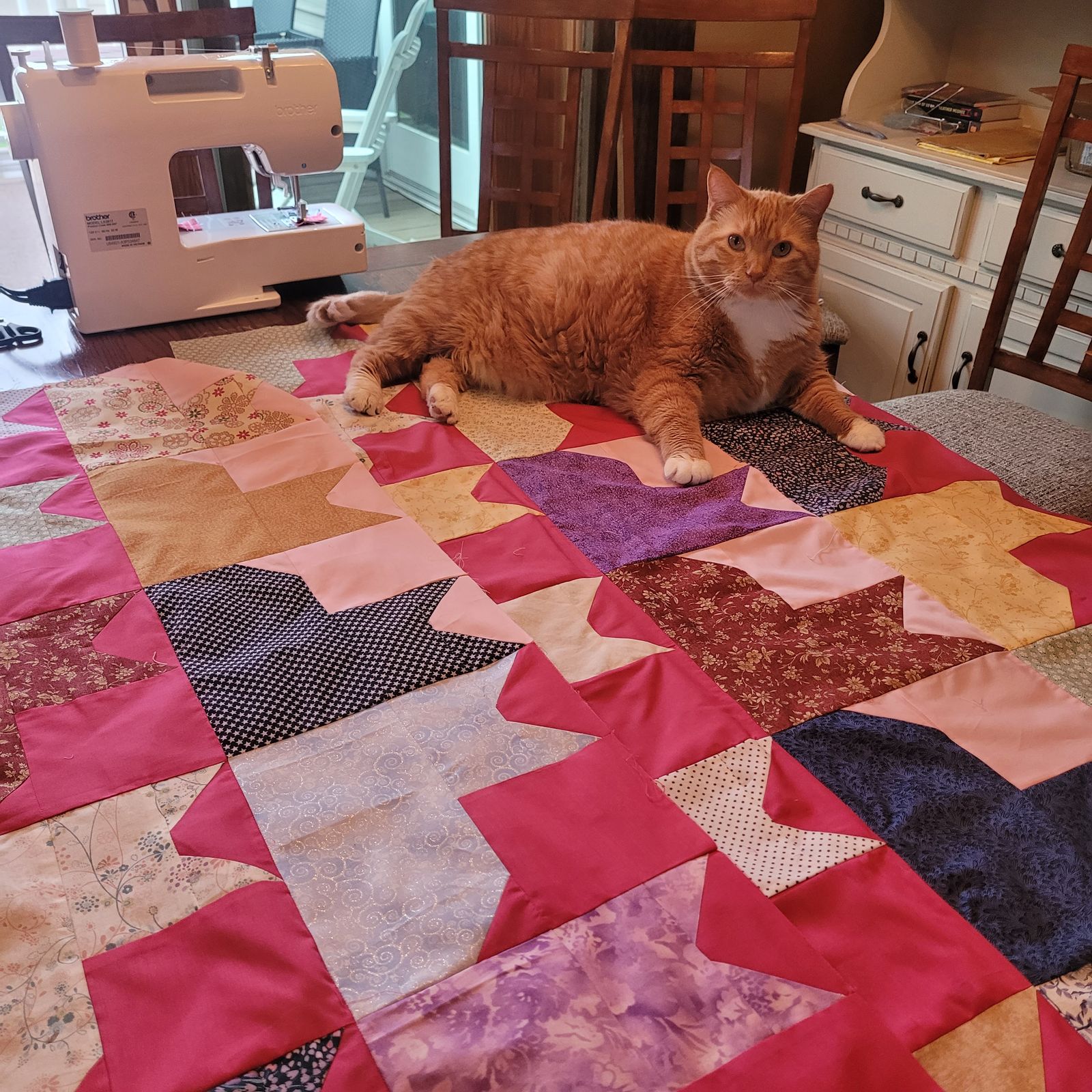 Digital Download - Pins & Paws Quilt Pattern by Missouri Star