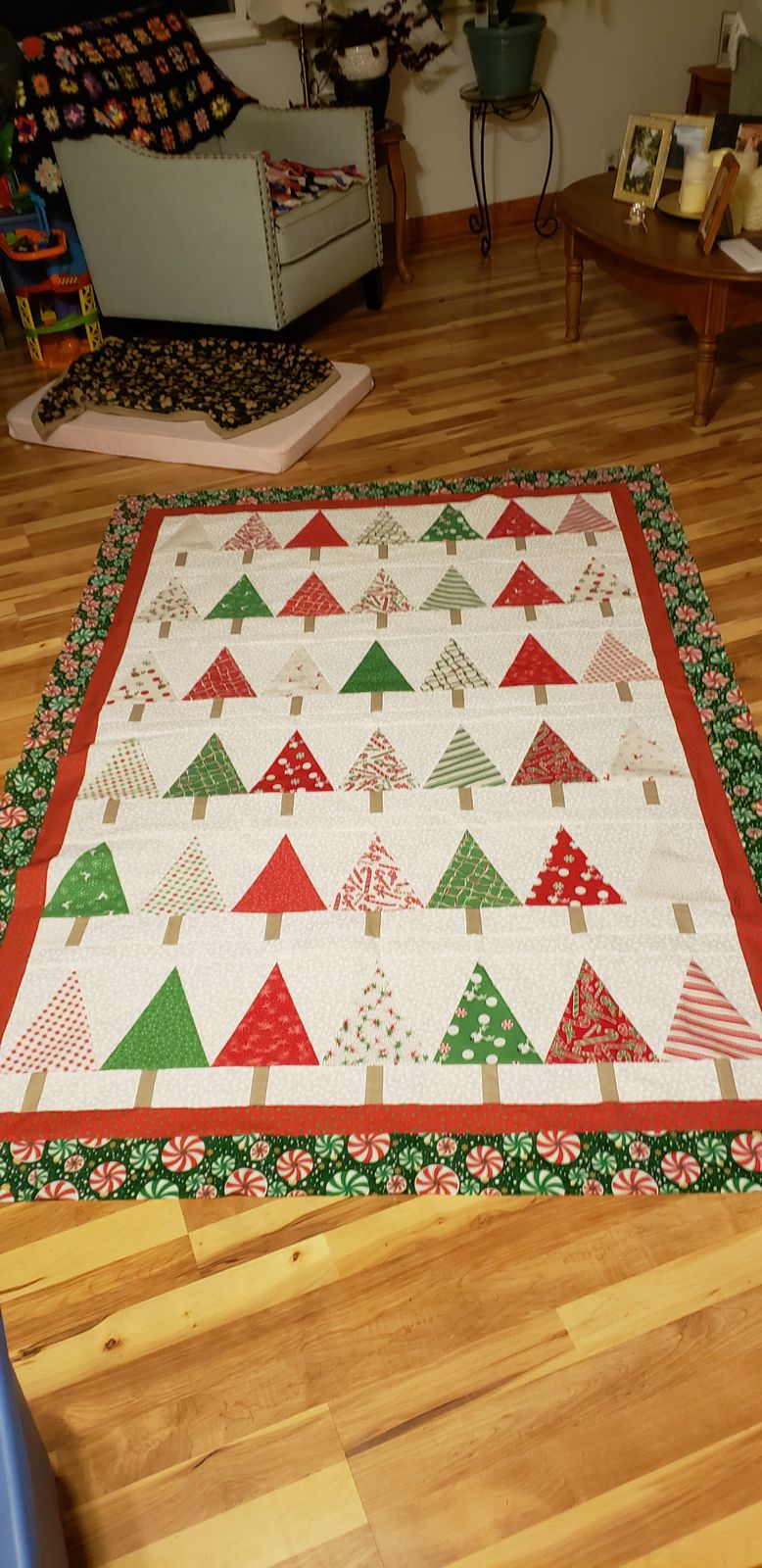 Missouri Star Large Simple Wedge Template for 10" Squares