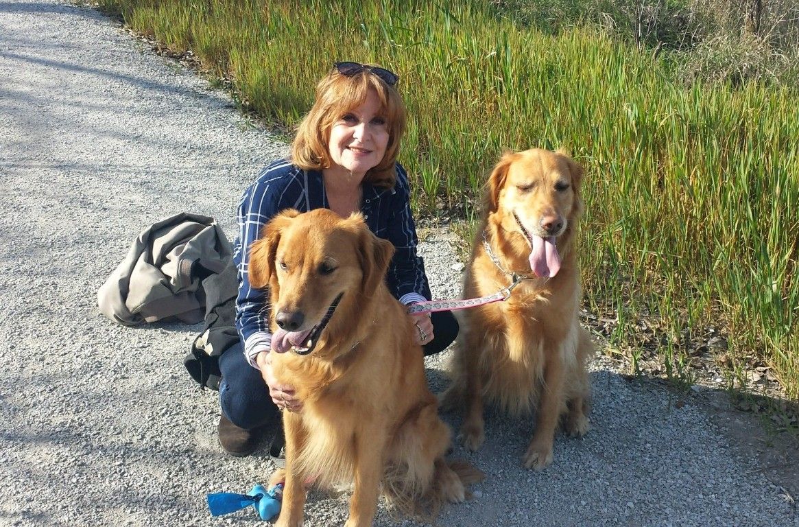 Flying Geese Log Cabin Quilt Pattern by Missouri Star