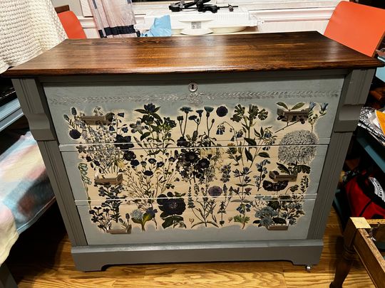 Best of Zibra Paintbrush Kit-5 Piece | Zibra