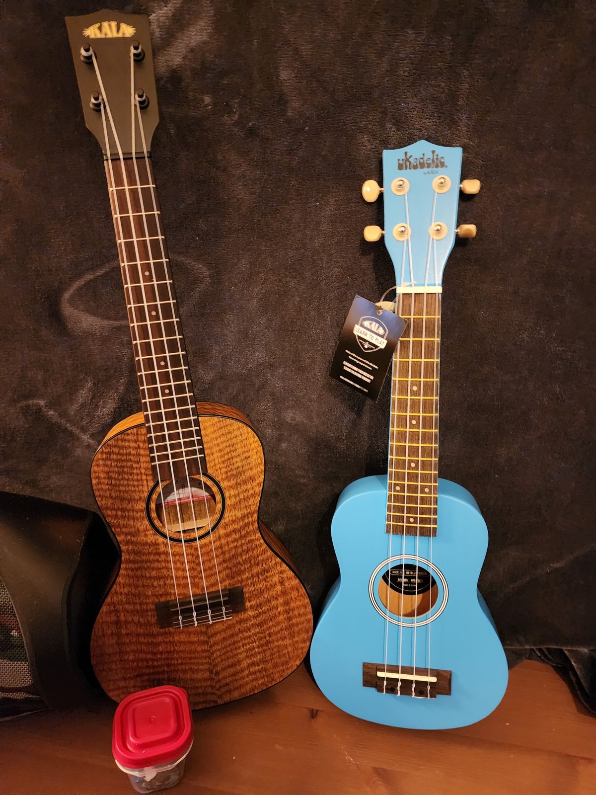 Curly Mango Concert Ukulele – Kala Brand Music Co.™