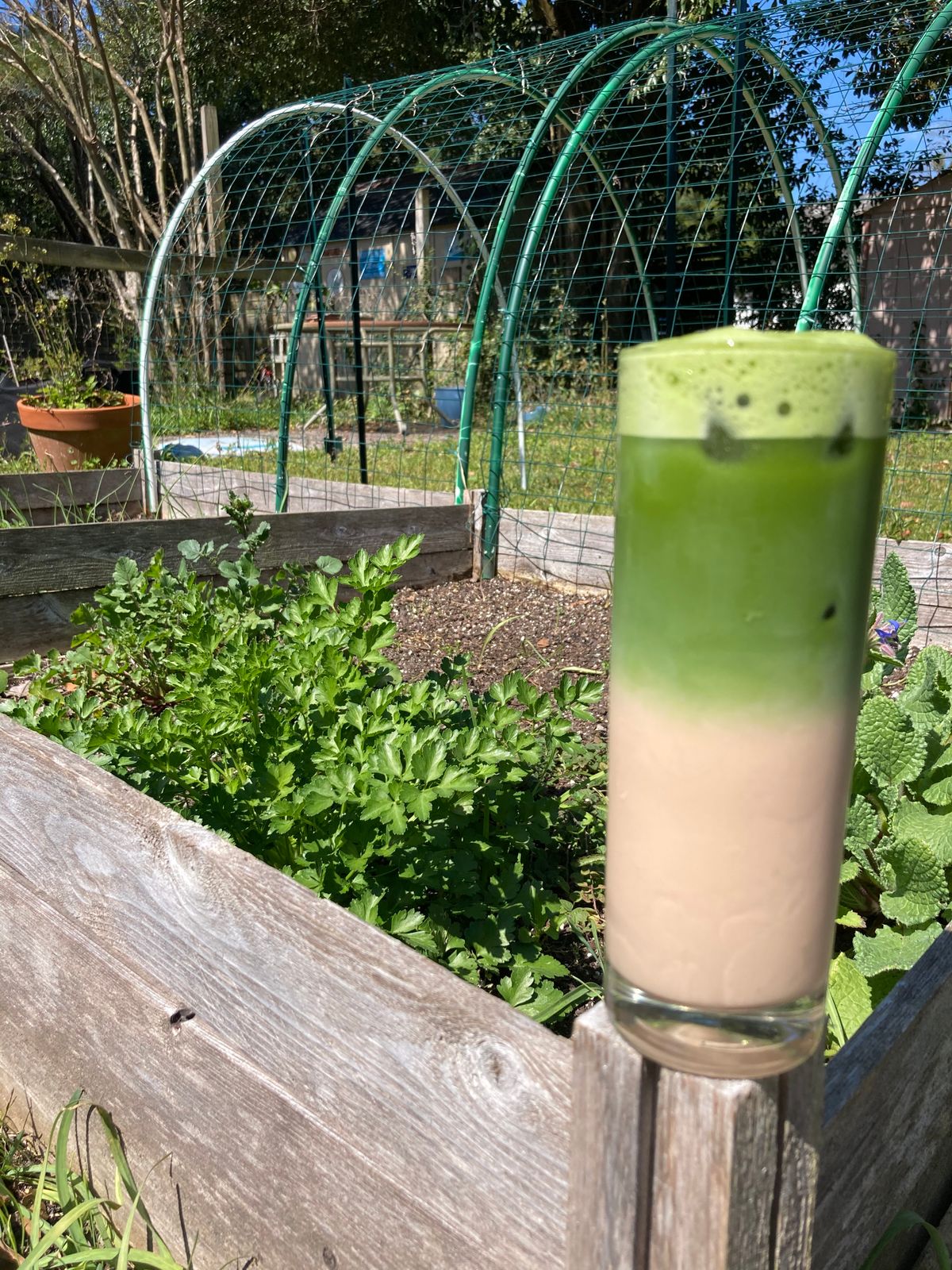 Matcha Powder – MatchaBar