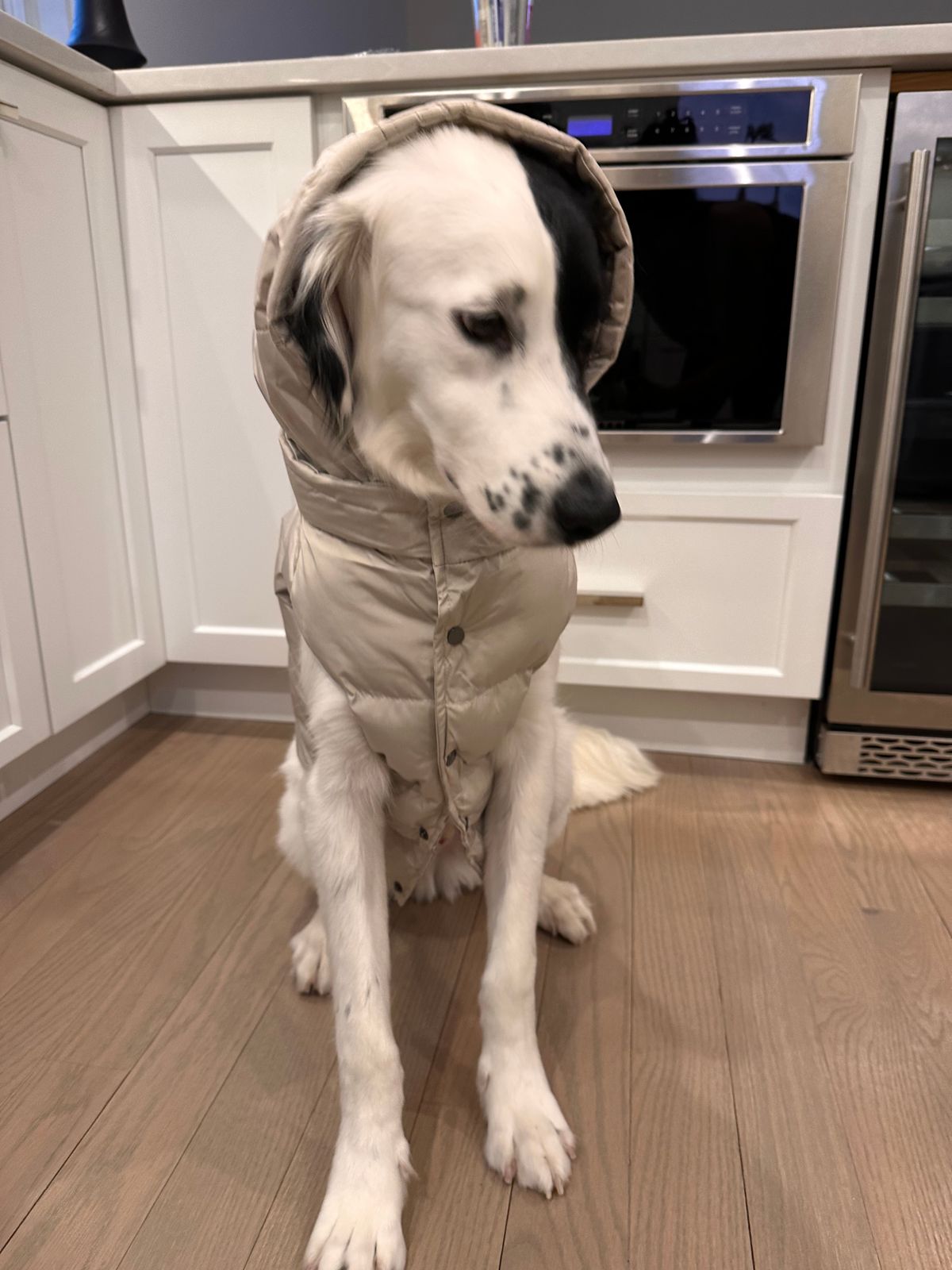 Sub Zero Waterproof Jacket – maxbone