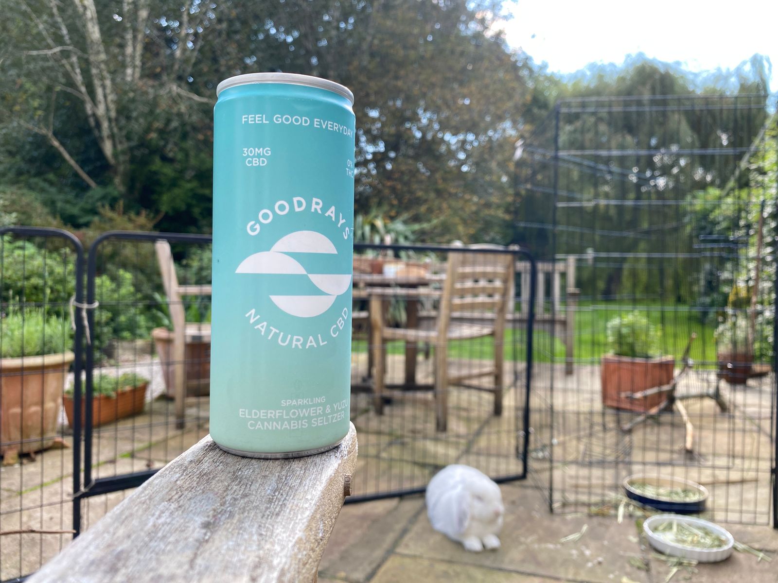 Buy Blood Orange & Grapefruit CBD Infused Drinks | Goodrays