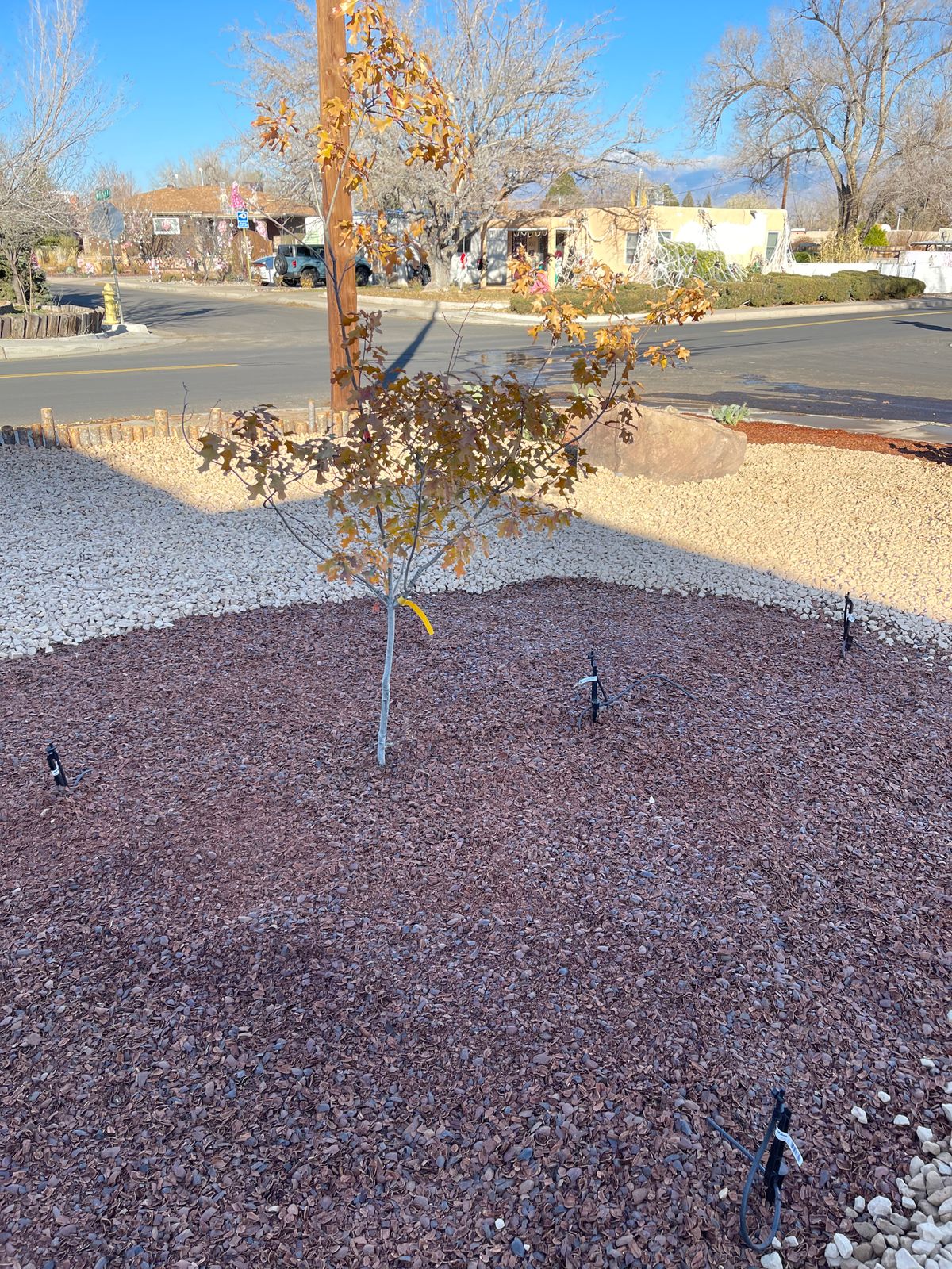 PECAN SHELLS - DELIVERED – Soilutions