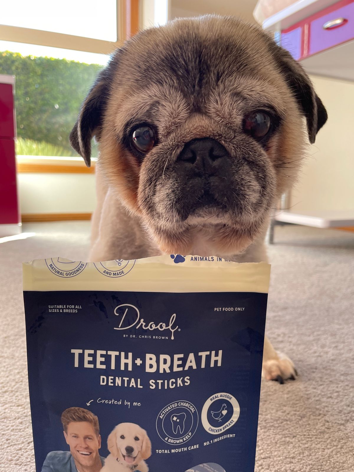 Teeth + Breath Sticks – Drool by Dr. Chris Brown