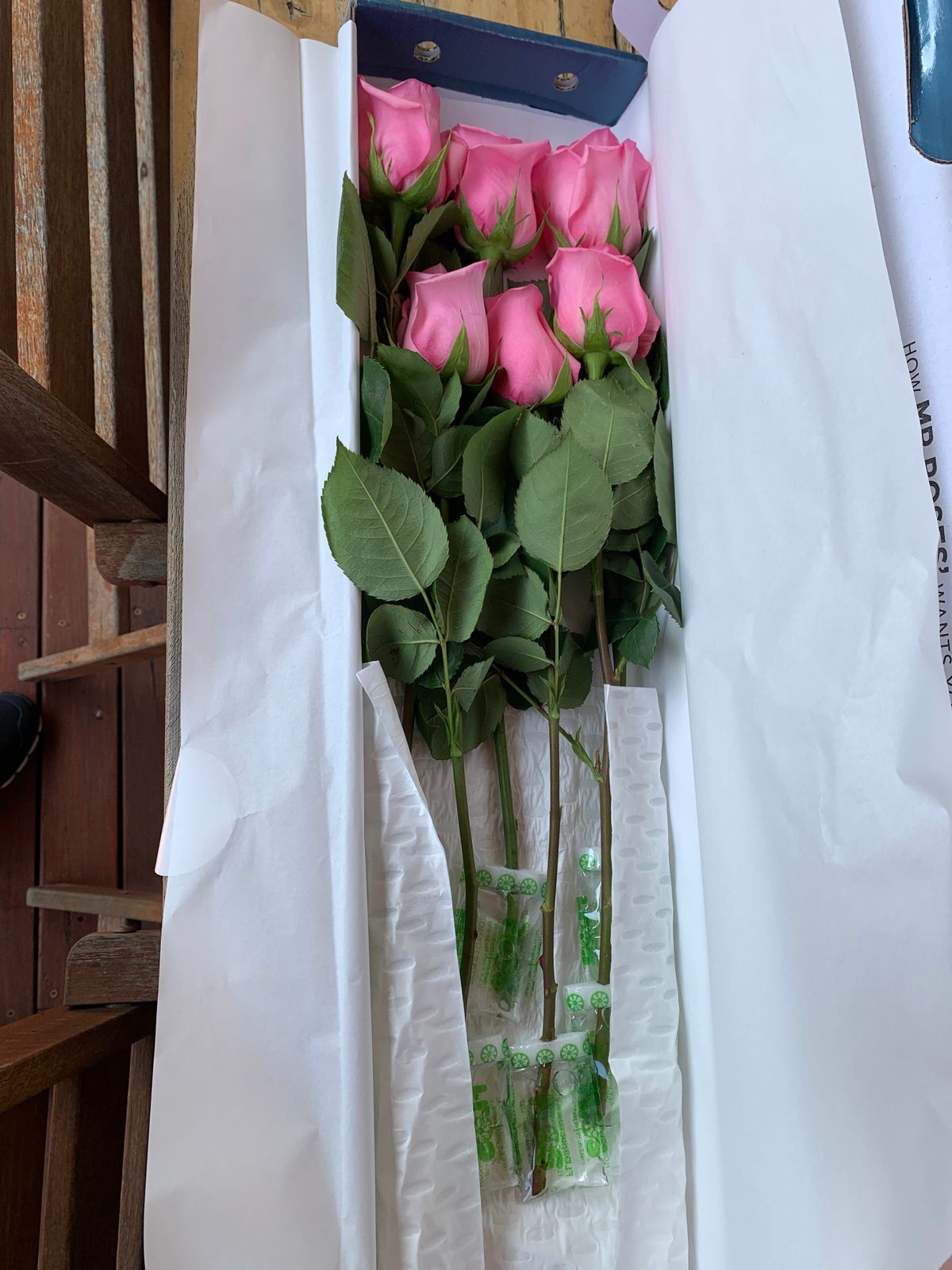 Medium Stemmed Pink Roses – Mr Roses