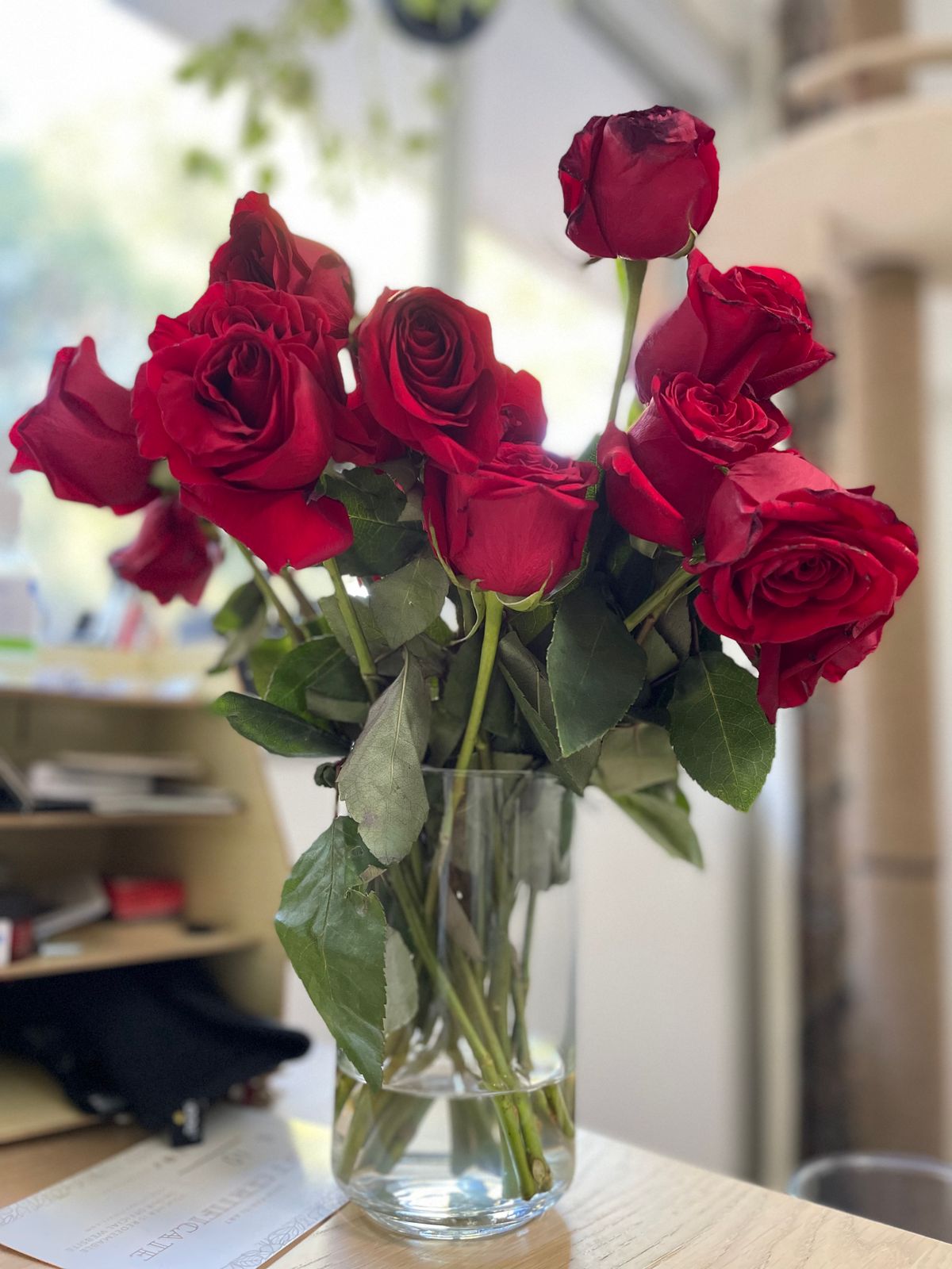 Long Stemmed Red Roses | Mr Roses | Same Day Delivery