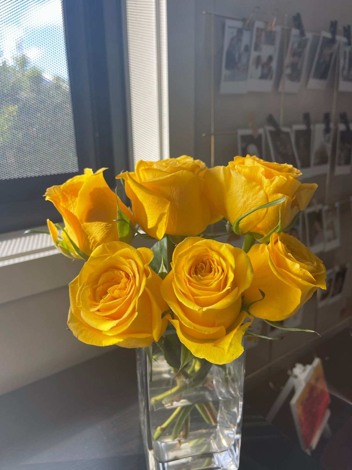 Long Stemmed Yellow Roses – Mr Roses