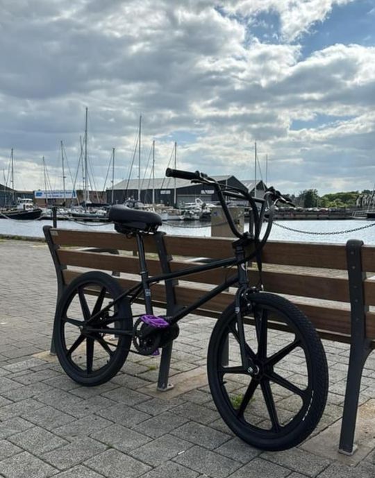 Discover Project BMX at Evolve - Your Electric Cruiser