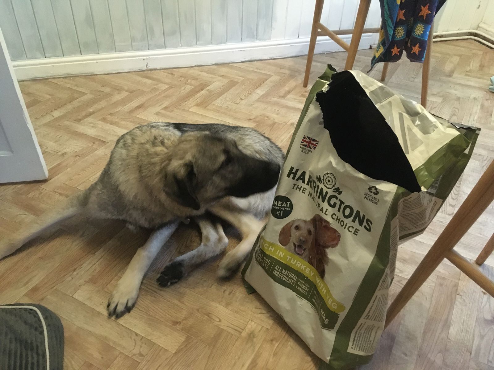 Harringtons | Wet Dog Food | Mixed Chicken and Duck | Bumper Pack