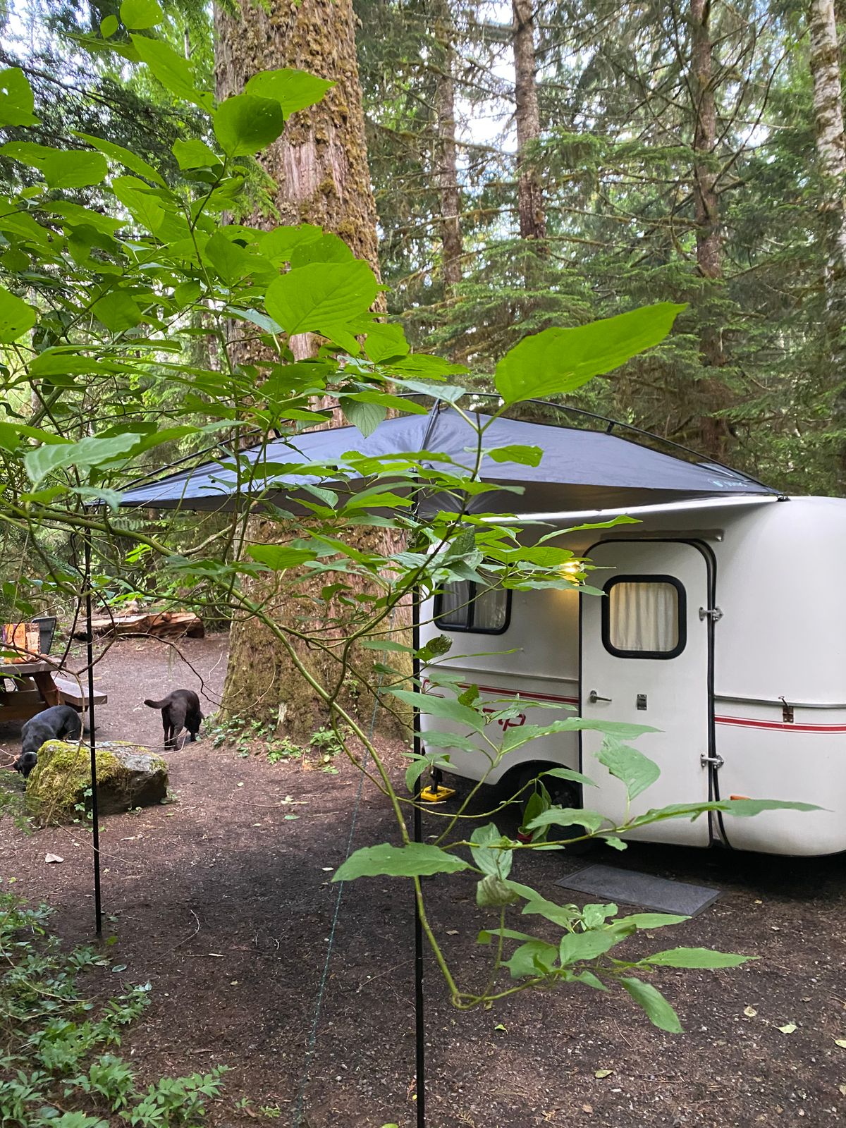 MoonShade | Portable vehicle awning | Moon Fabrications