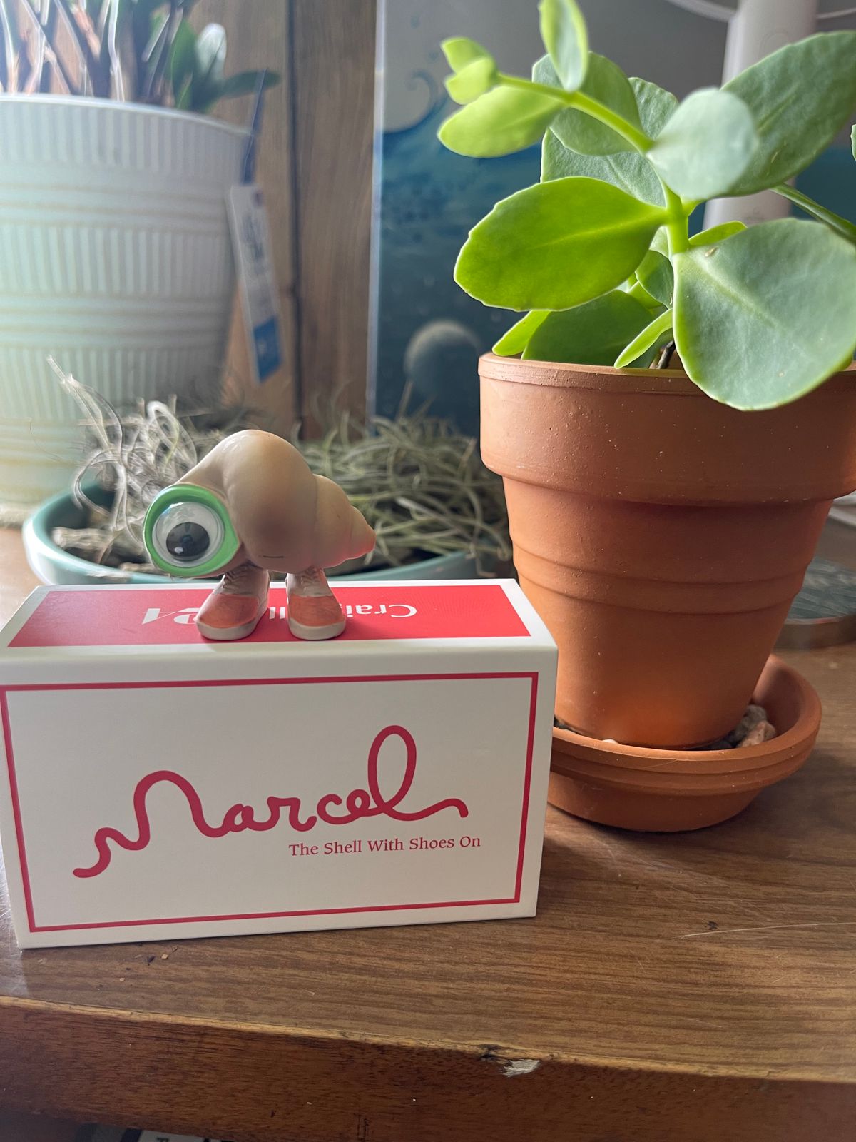 Marcel the Shell – Craighill